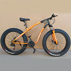 Explore Our Collection of Adult Cycles Under 5000 - Affordable ...
